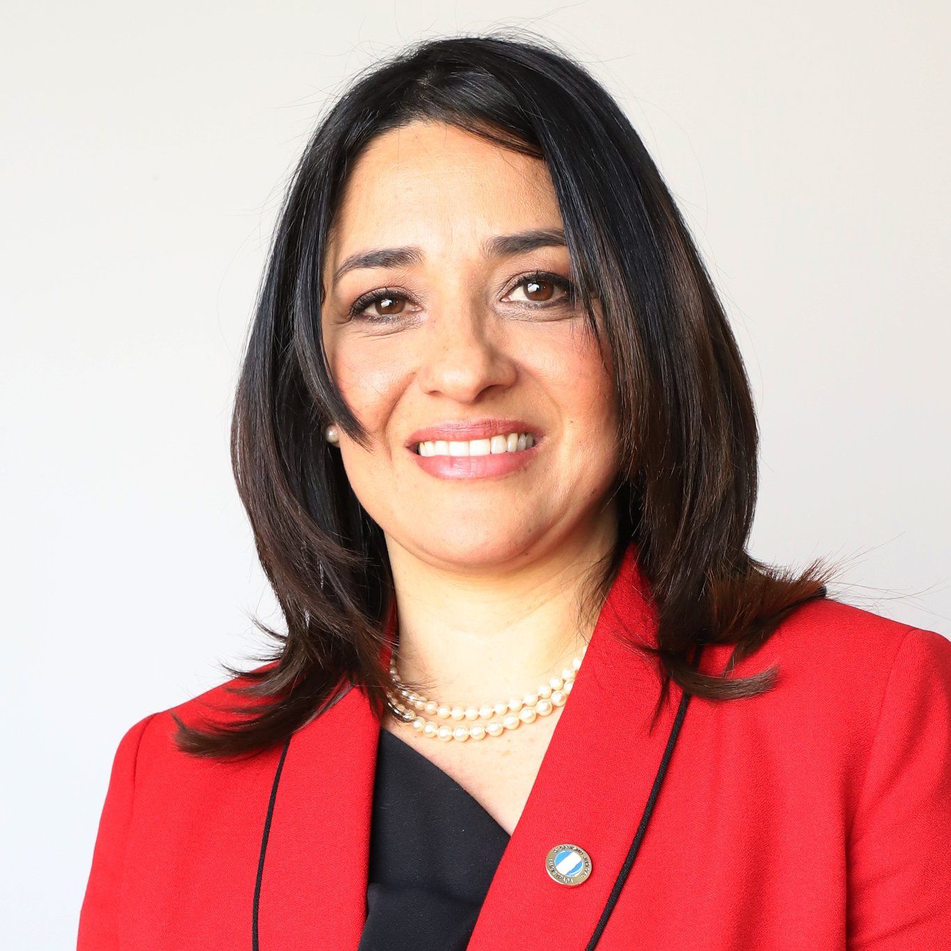 Nueva Corte Suprema de Justicia: Vínculos, trayectorias y antecedentes ...