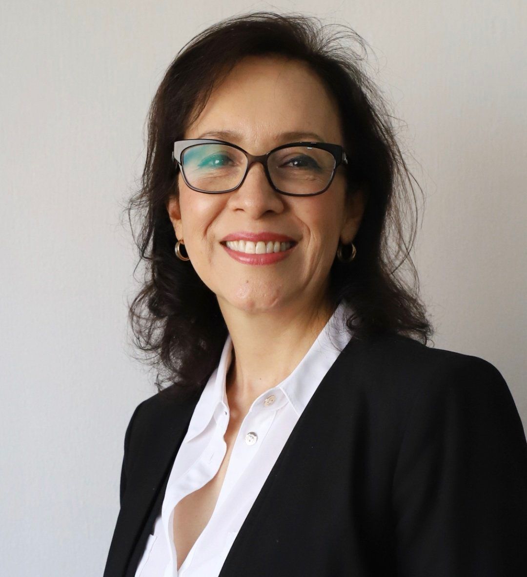 Nueva Corte Suprema de Justicia: Vínculos, trayectorias y antecedentes ...