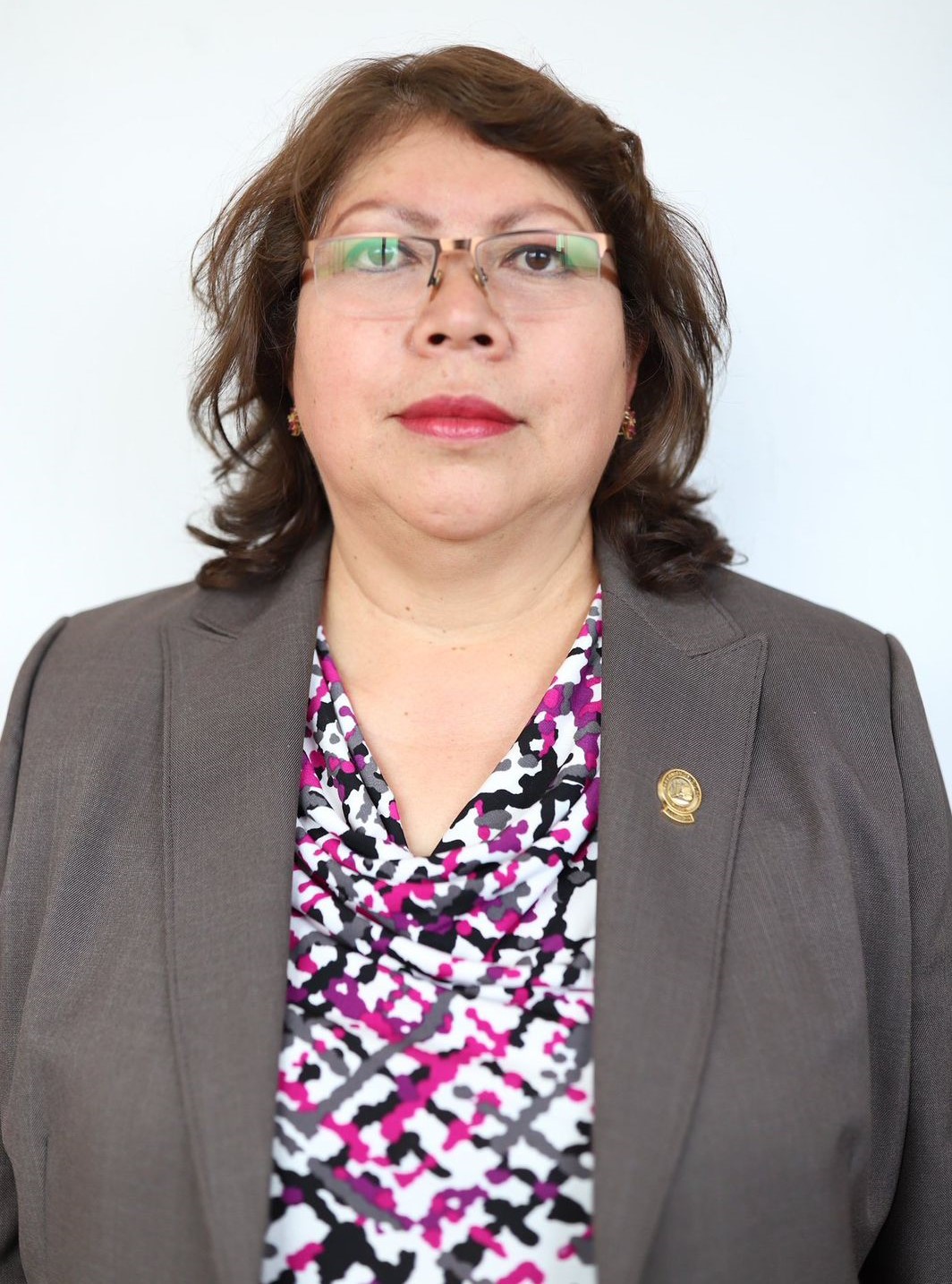 Nueva Corte Suprema de Justicia: Vínculos, trayectorias y antecedentes ...