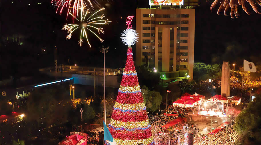 Así será el Festival Árbol Gallo 2025: Recomendaciones y lo esencial para asistir - La Hora