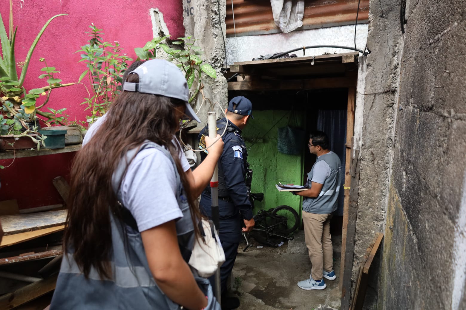 Por no contar con las cinco libertades del bienestar animal, MAGA ...