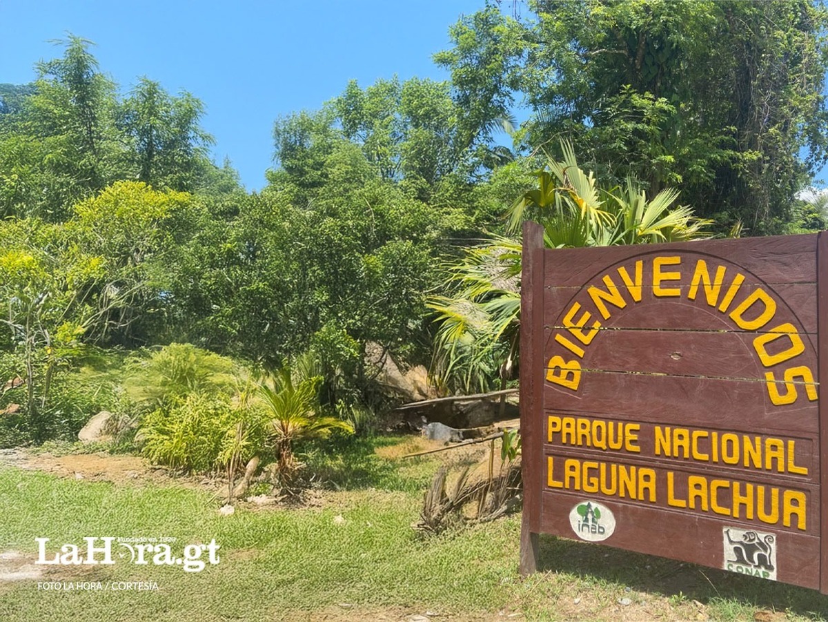 Laguna Lachuá El Tesoro Escondido Para Acampar Un Fin De Semana La Hora